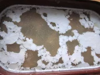 Brawn • Recipe | yumecipe.com