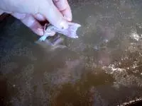 Brawn • Recipe | yumecipe.com